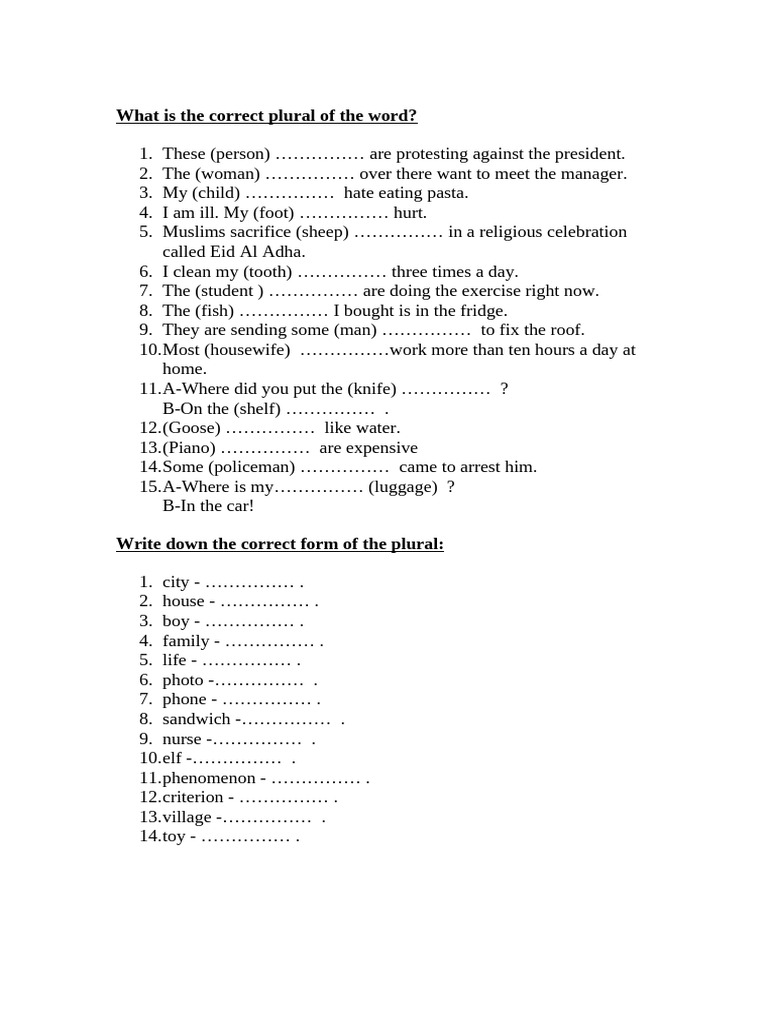 English Plural Practice Quiz | PDF