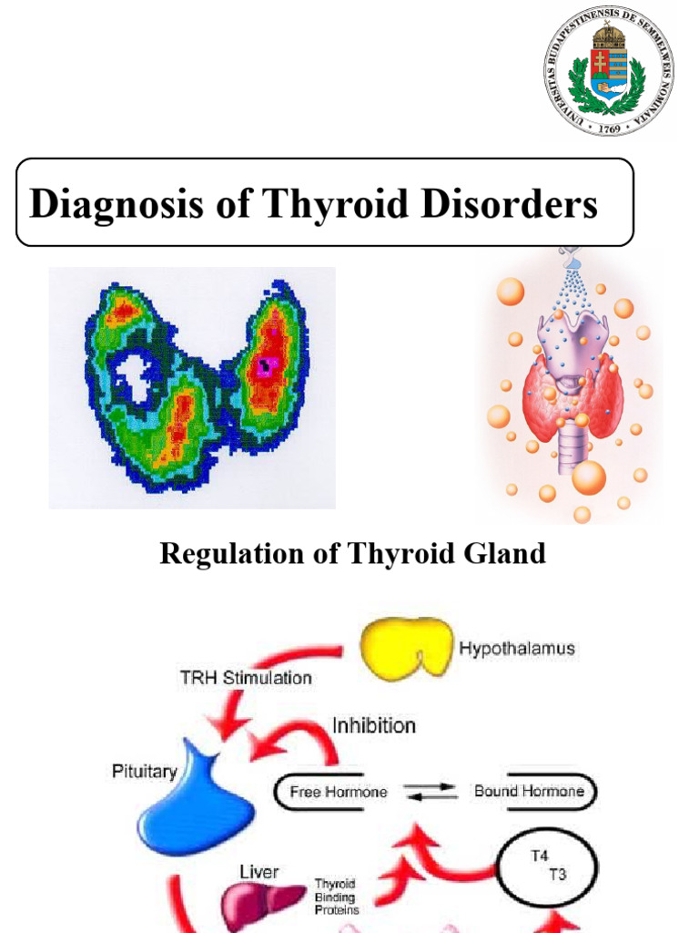 09 thyroid practice_v2 | PDF | Thyroid | Thyroid Stimulating Hormone