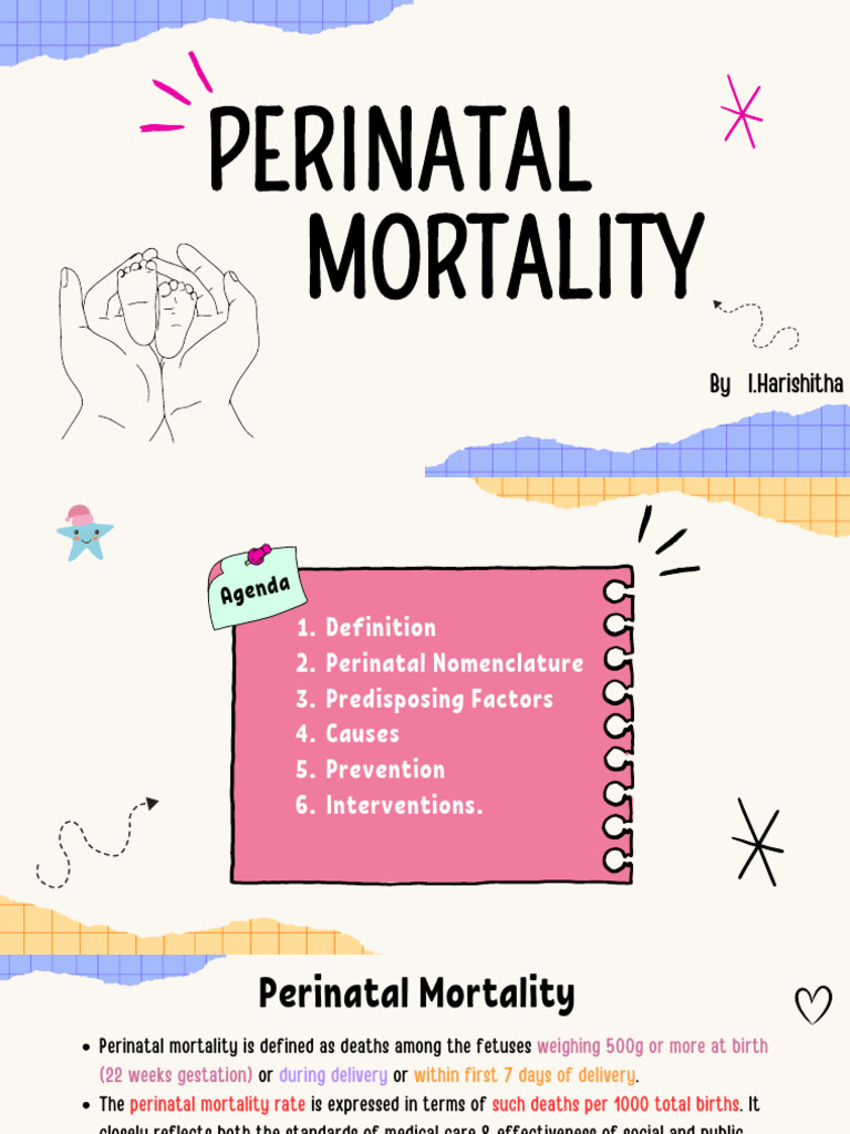 Perinatal Mortality | PDF | Prenatal Development | Preterm Birth
