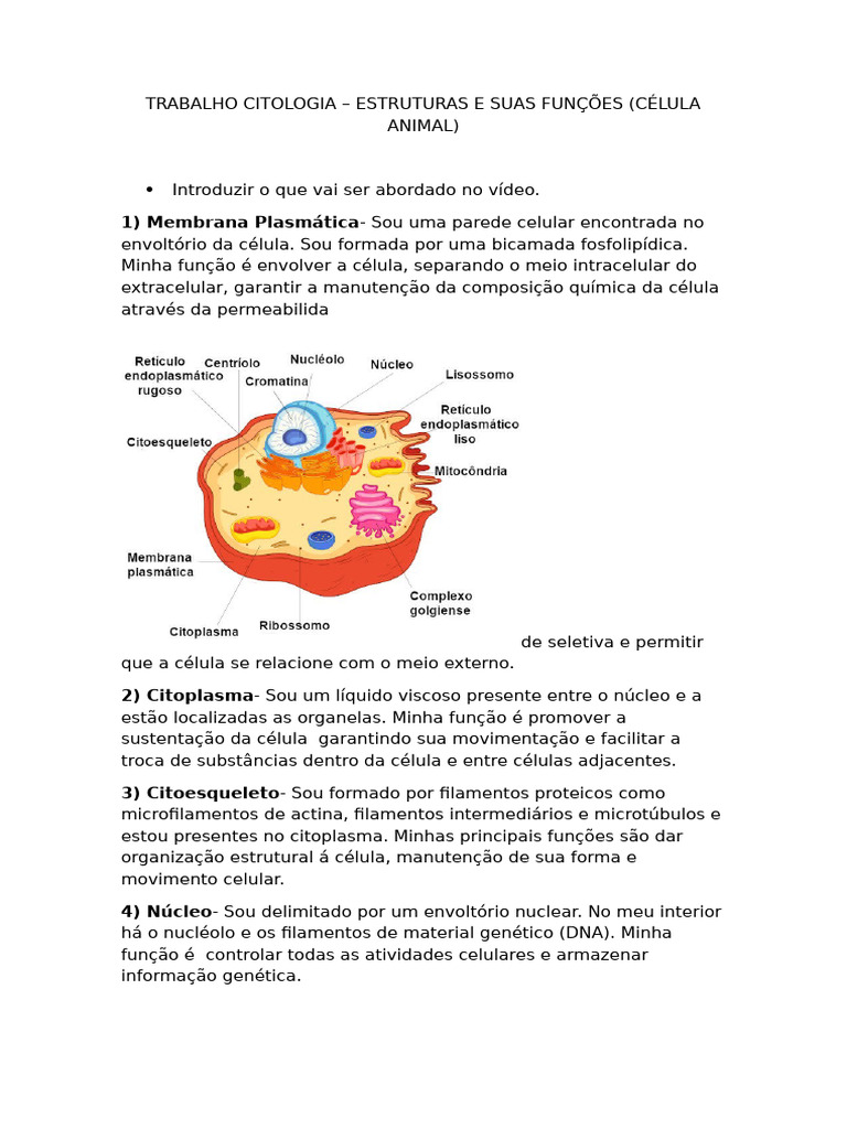 Estruturas e Funções da Célula Animal | PDF | Célula (Biologia ...