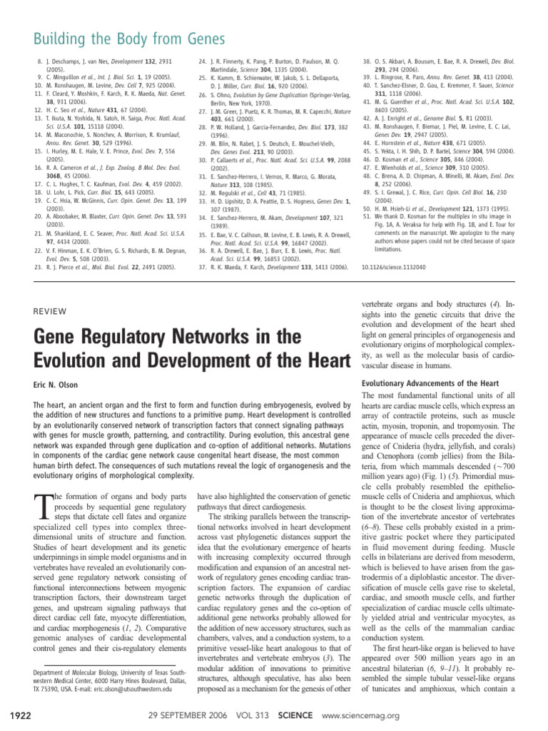 Gene Networks in Heart Evolution | PDF | Heart | Muscle