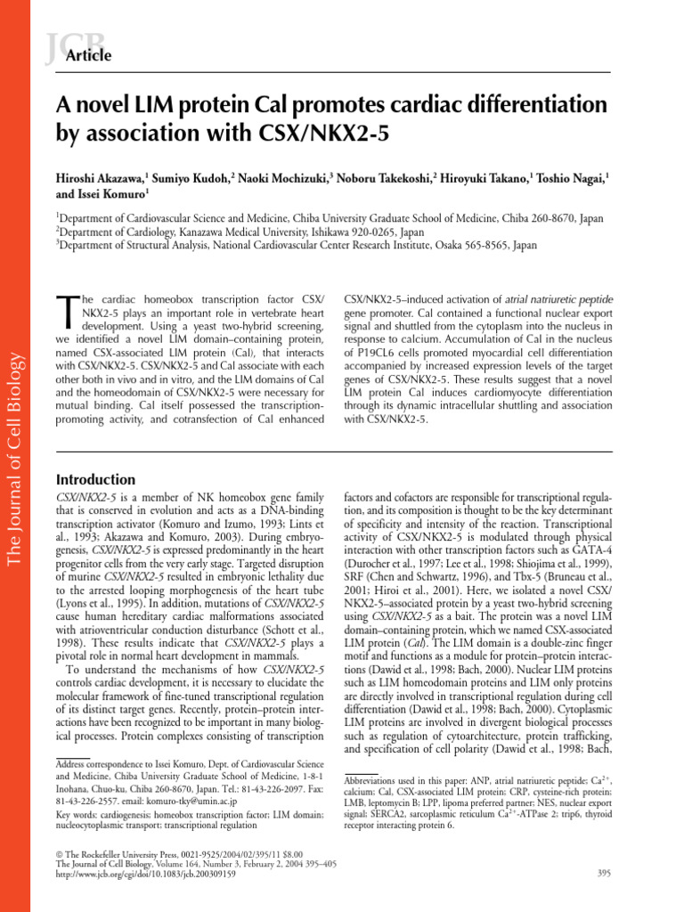 A Novel LIM Protein Cal Promotes Cardiac Differentiation by Association ...