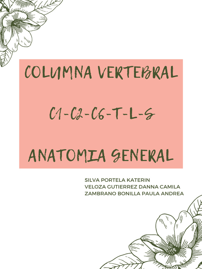 Columna Vertebral C1-C2-C6-T-L-S Anatomia General | PDF | Vértebra ...