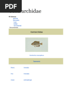 Pez rosado con manos: características y hábitat | PDF | Pescado | Zoología