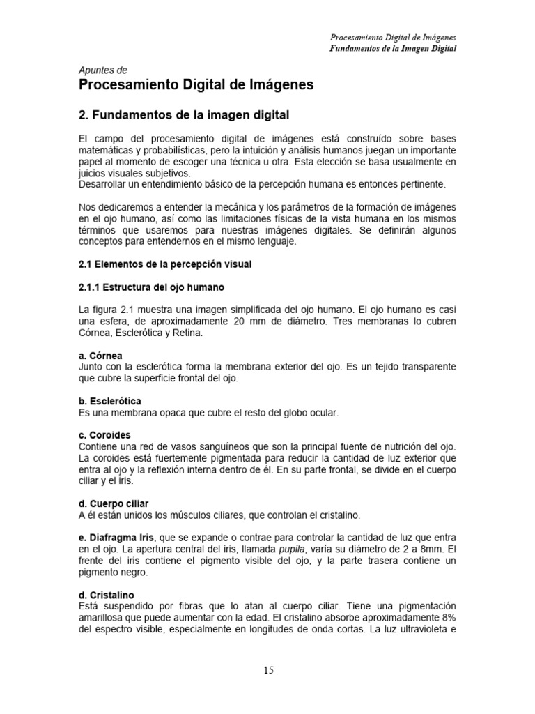 3. Fundamentos de la imagen digital | PDF | Ojo humano | Espectro electromagnético