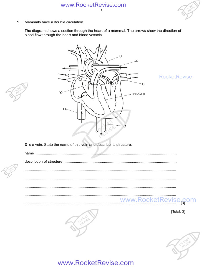 9 Transport in Animals QP | PDF