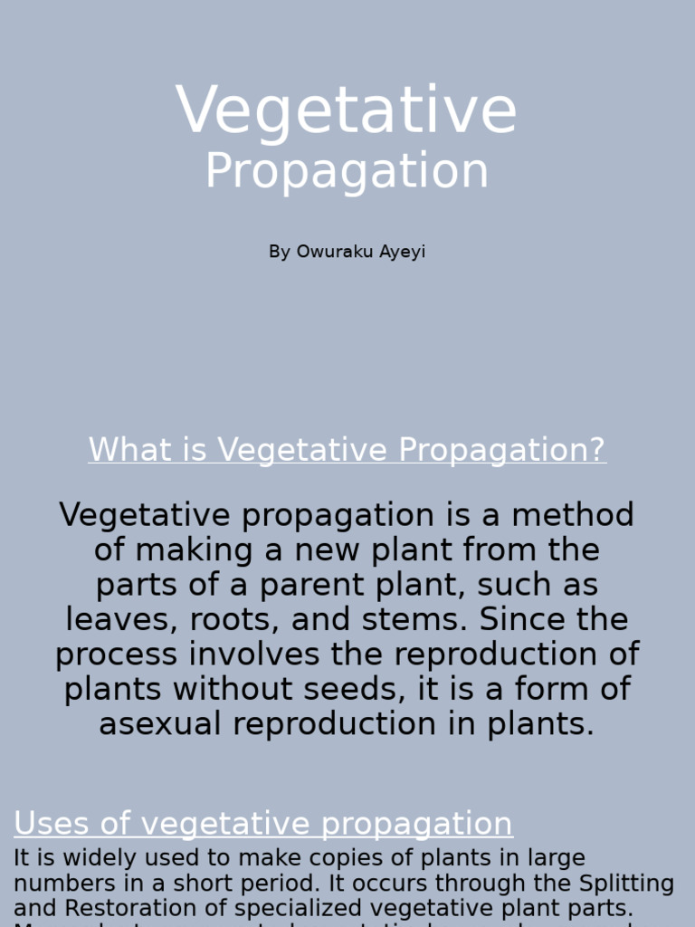 Vegetative Propagation | PDF | Reproduction | Biological Processes