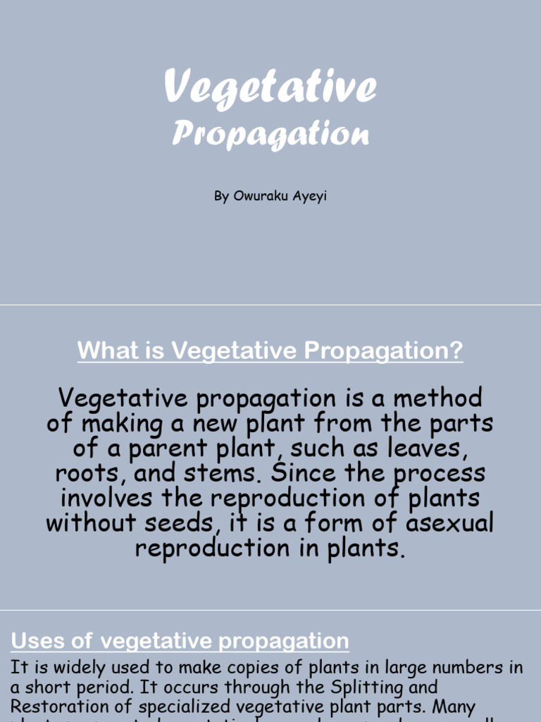 Vegetative Propagation | PDF | Reproduction | Horticulture