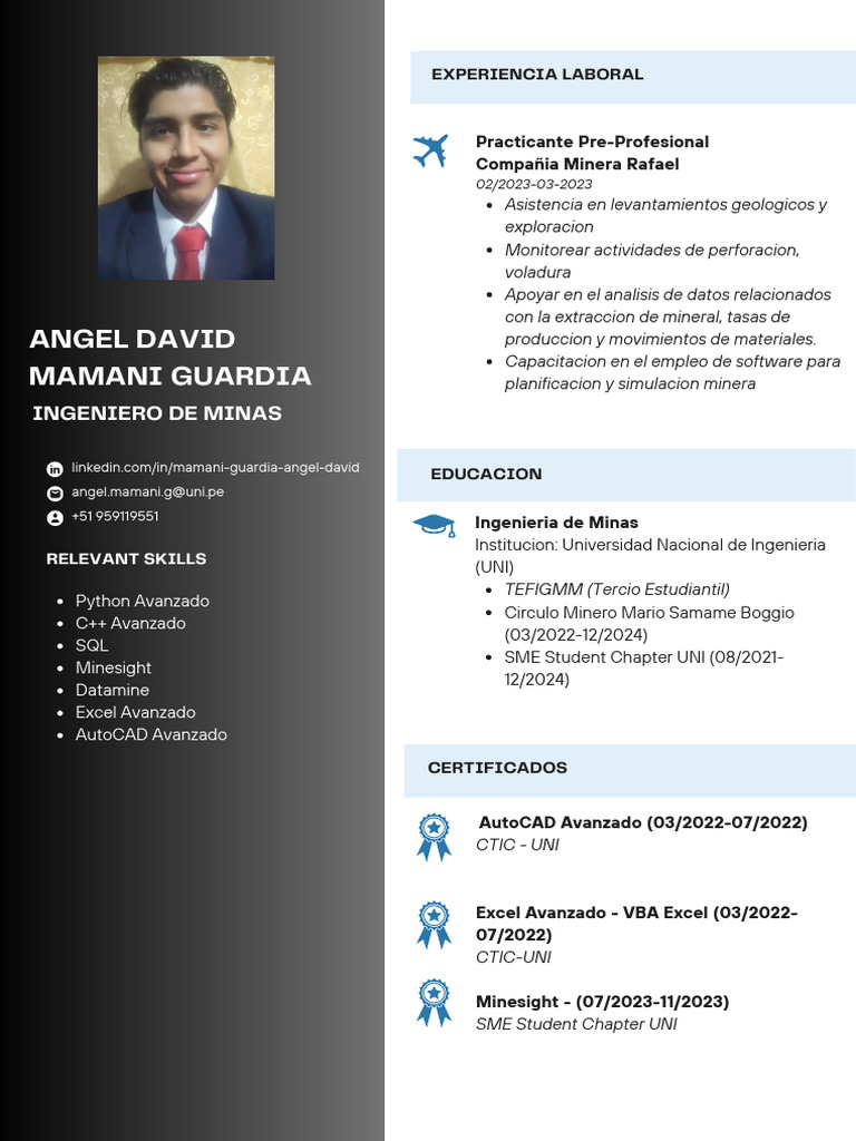 Angel David CV | PDF