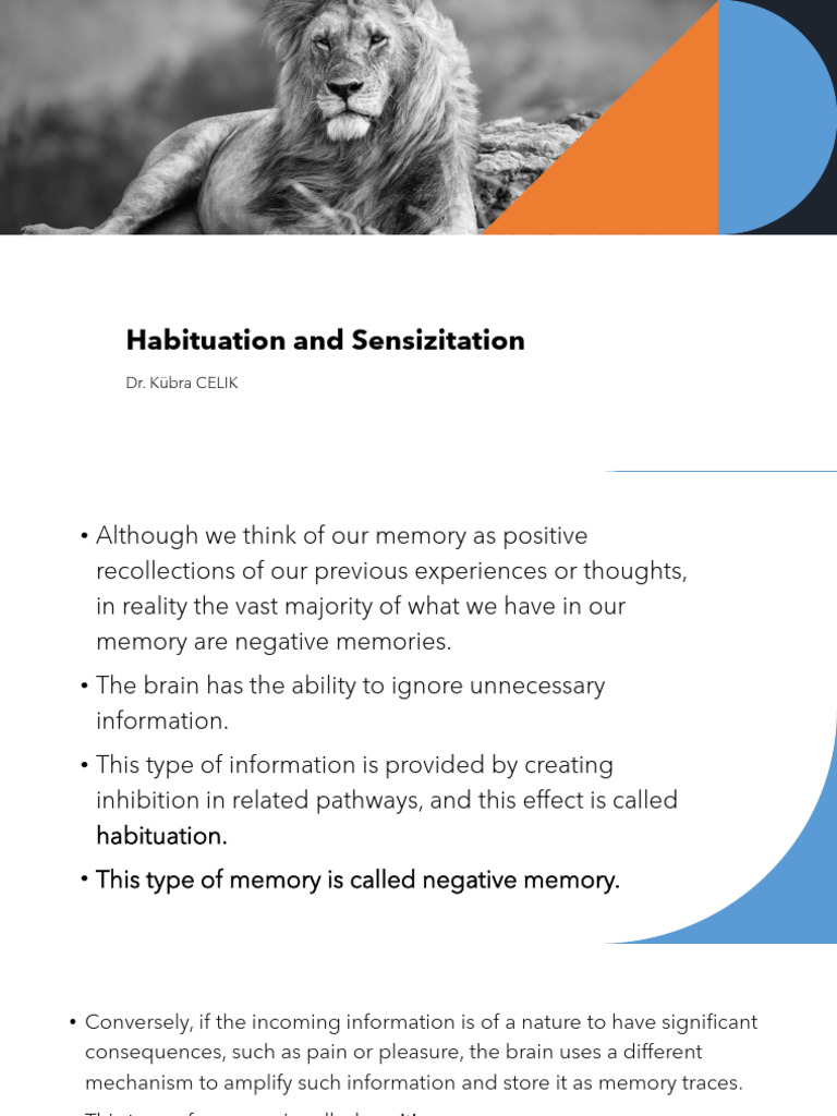 03 Habitutation Sensitization | PDF | Synapse | Memory