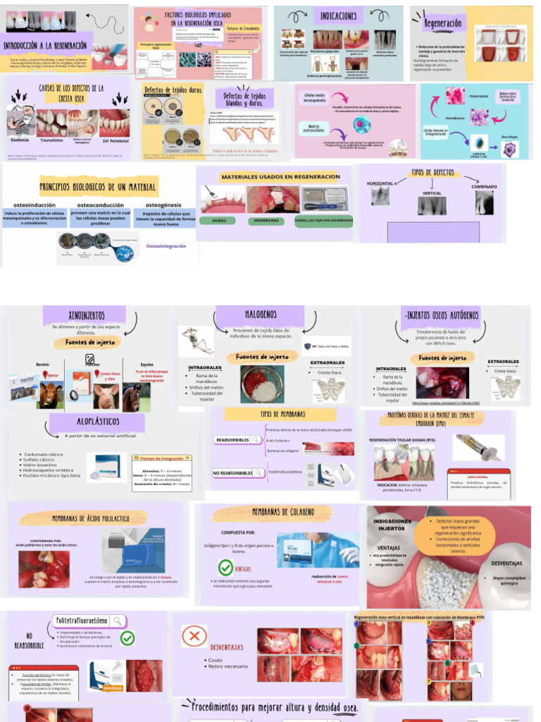 Presentacion 1 Imprimir | PDF