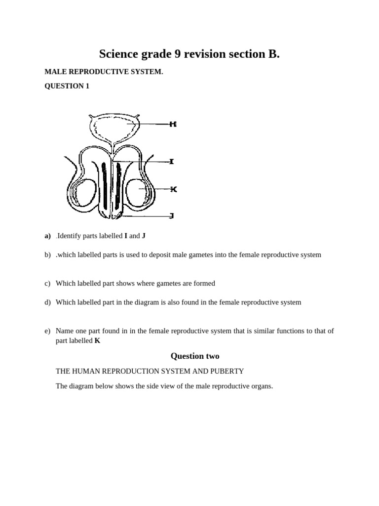 Grade 9 Science Revision: Reproductive Systems & Cell Biology | PDF ...