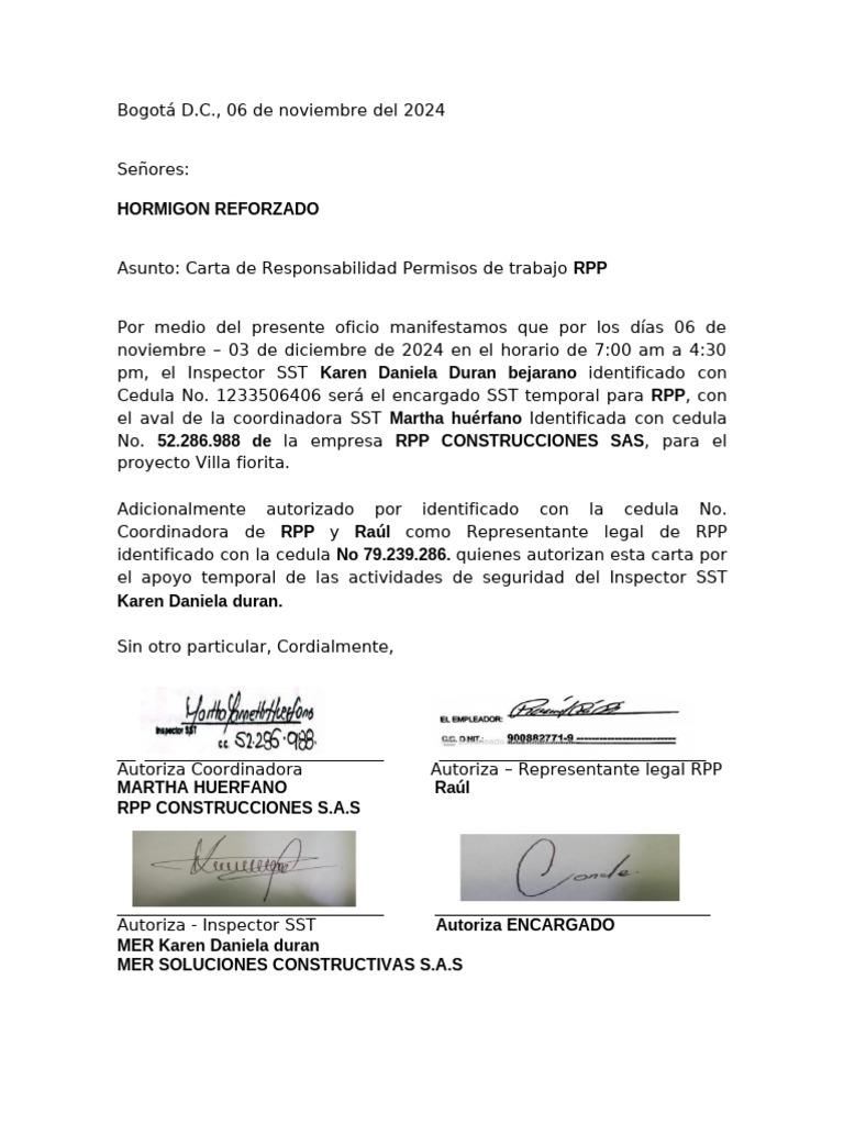 SIG - Formato CARTA RESPONSABILIDAD | PDF