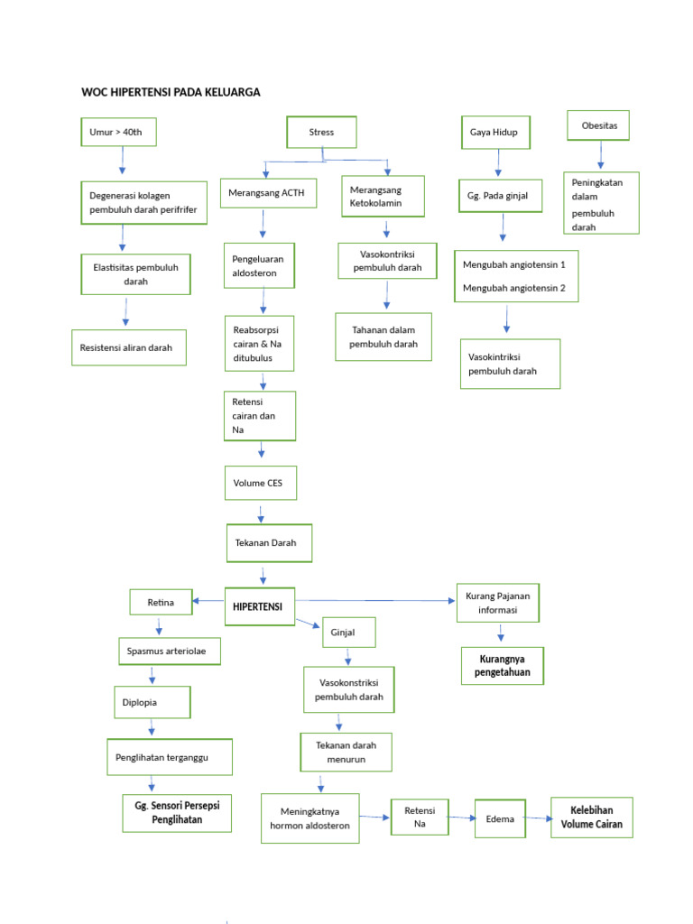 Woc Hipertensi Pada Keluarga | PDF