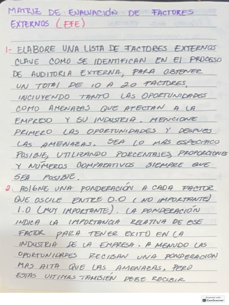 Matriz de Evaluación EFE Y EFI Dulce Gal | PDF