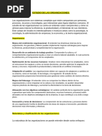 Conclusion de La Organizacion Empresarial | PDF | Business | Economias