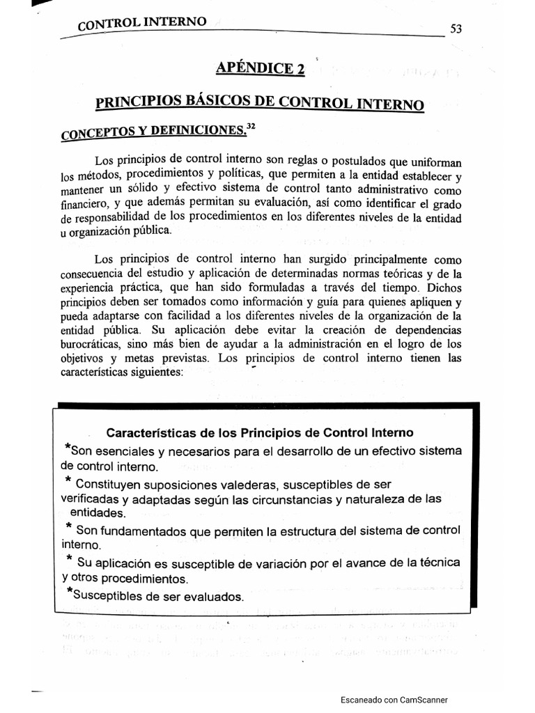Principios Basicos Del Control Interno | PDF