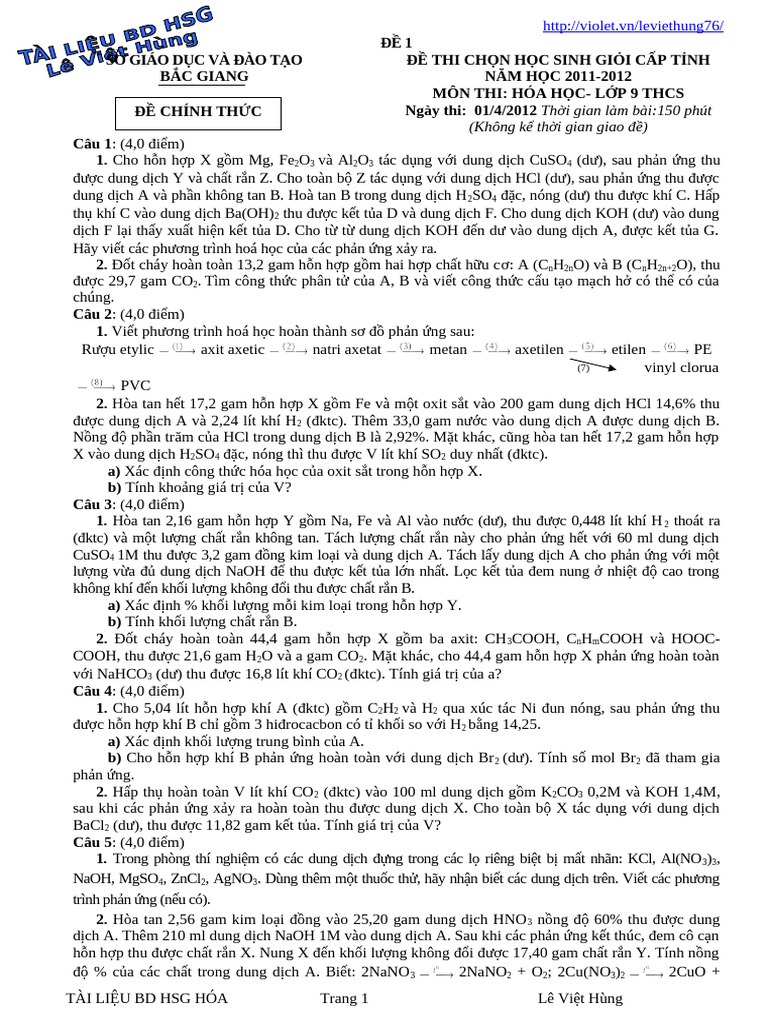 De Thi HSG Cap Tinh Co Dap An | PDF