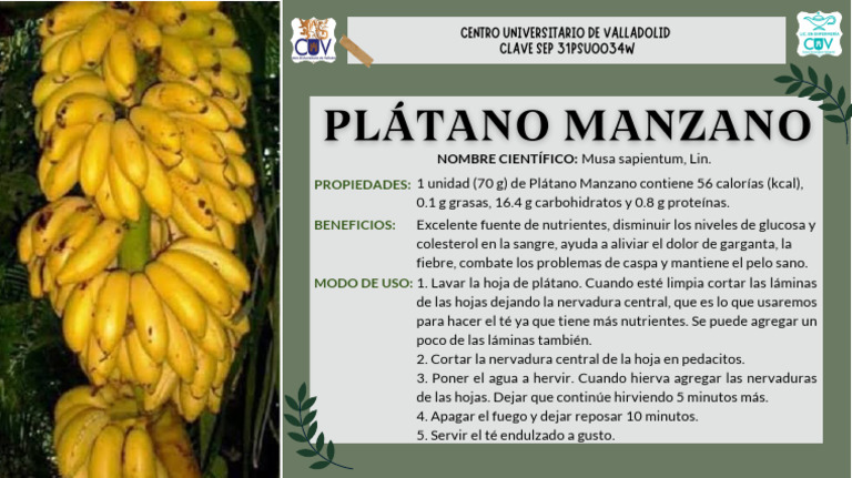 Plátano Manzano - 20240711 - 071313 - 0000 | PDF | Cocina, comidas y ...