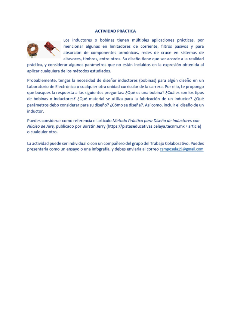 Actividad Práctica | PDF