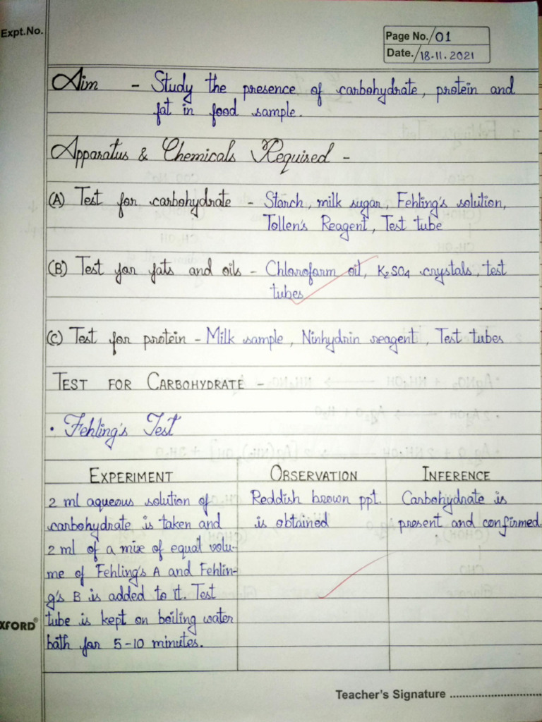 Chemistry Practical Term 2 | PDF