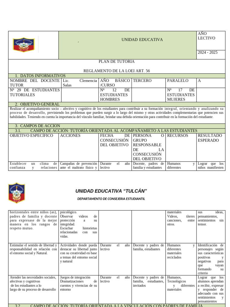 Plan de Accion Tutorial 2024-2025 | PDF | Maestros | Aprendizaje