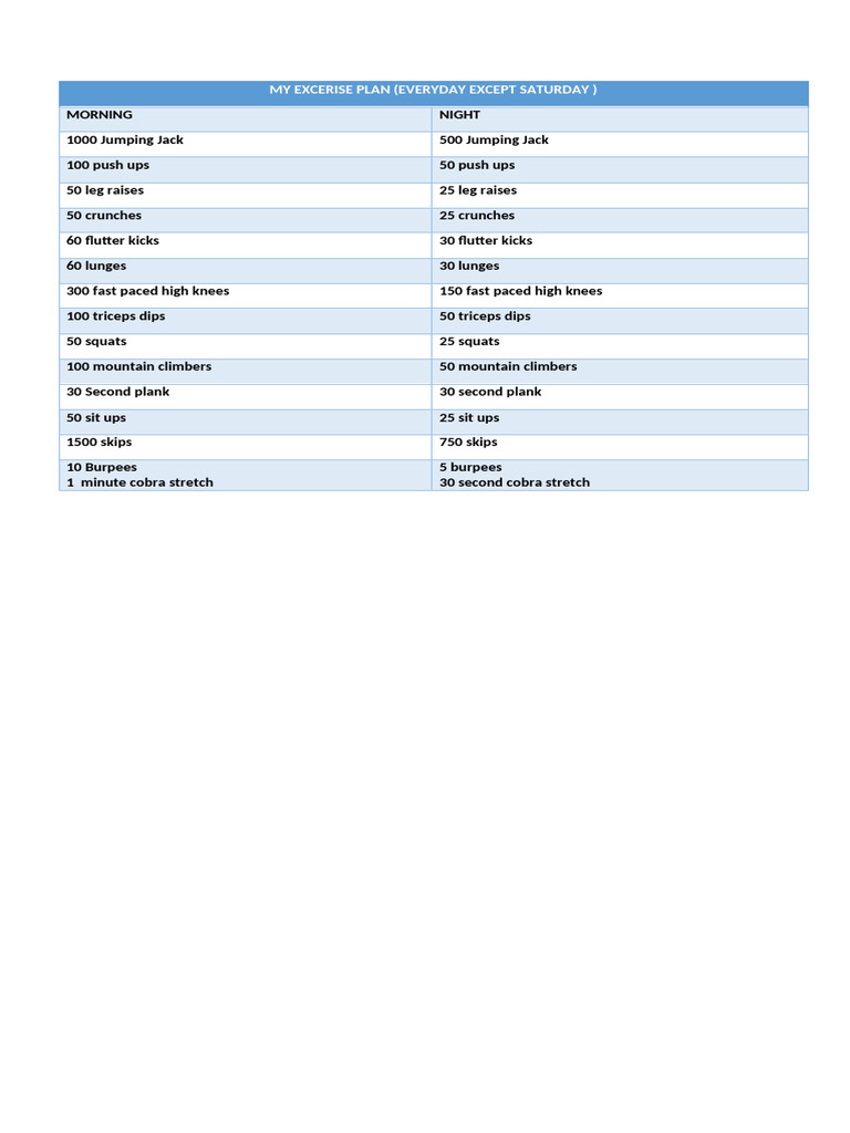 MY EXCERISE PLAN | PDF | Physical Fitness | Physical Exercise