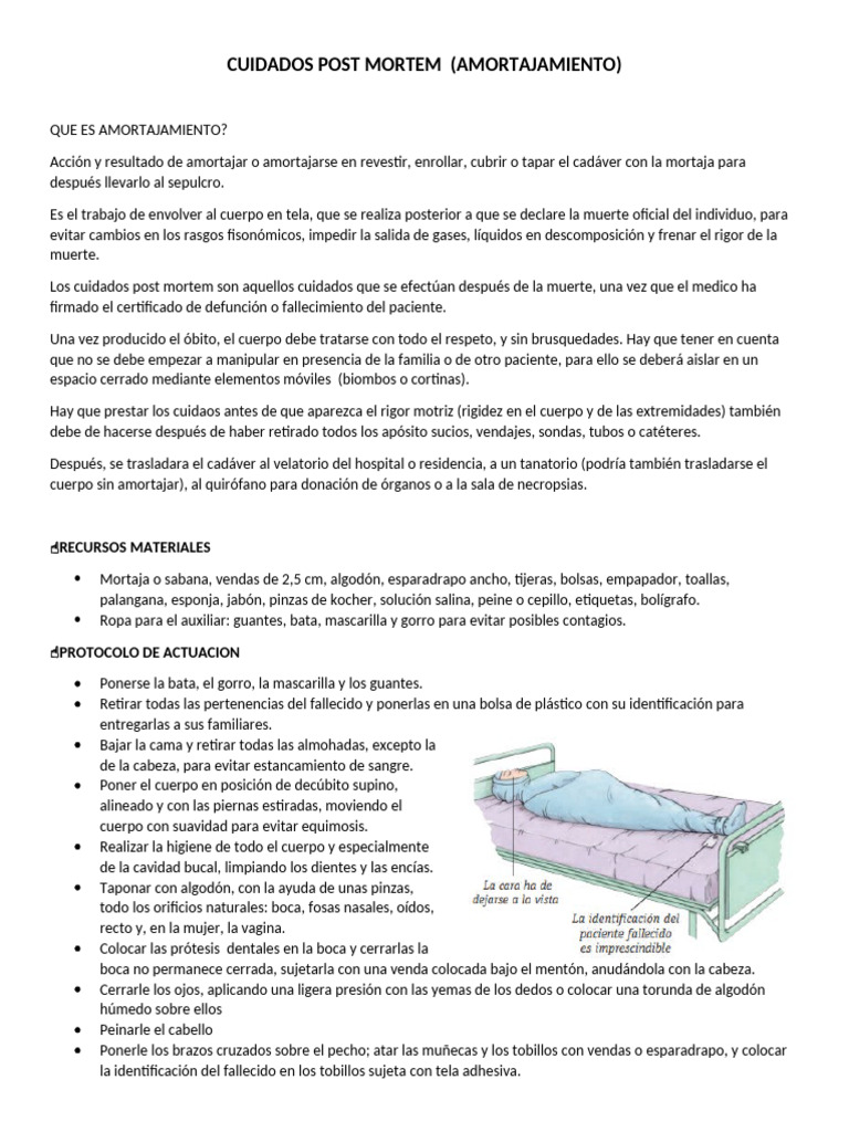 Cuidados Post Mortem | PDF