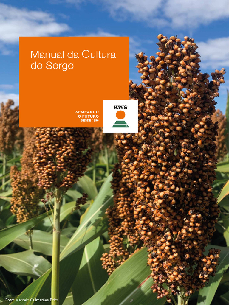 Kws Manual Sorgo Digital 1 2 | PDF