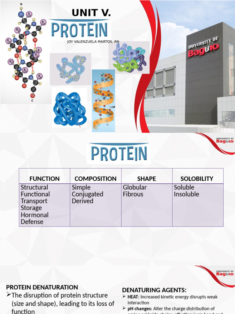Protein Structure and Enzyme Functions | PDF | Proteins | Amino Acid