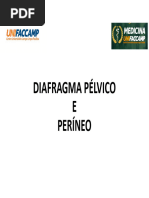 Pelve e Períneo | PDF | Pélvis | Anatomia