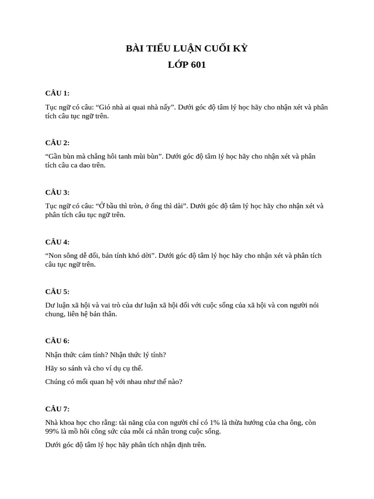 Bài Tiểu Luận Cuối Kỳ LỚP 601 | PDF