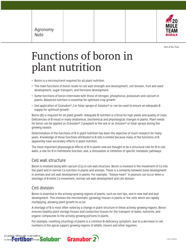 Functions of Boron in Plant Nutrition | PDF | Plant Nutrition | Plants