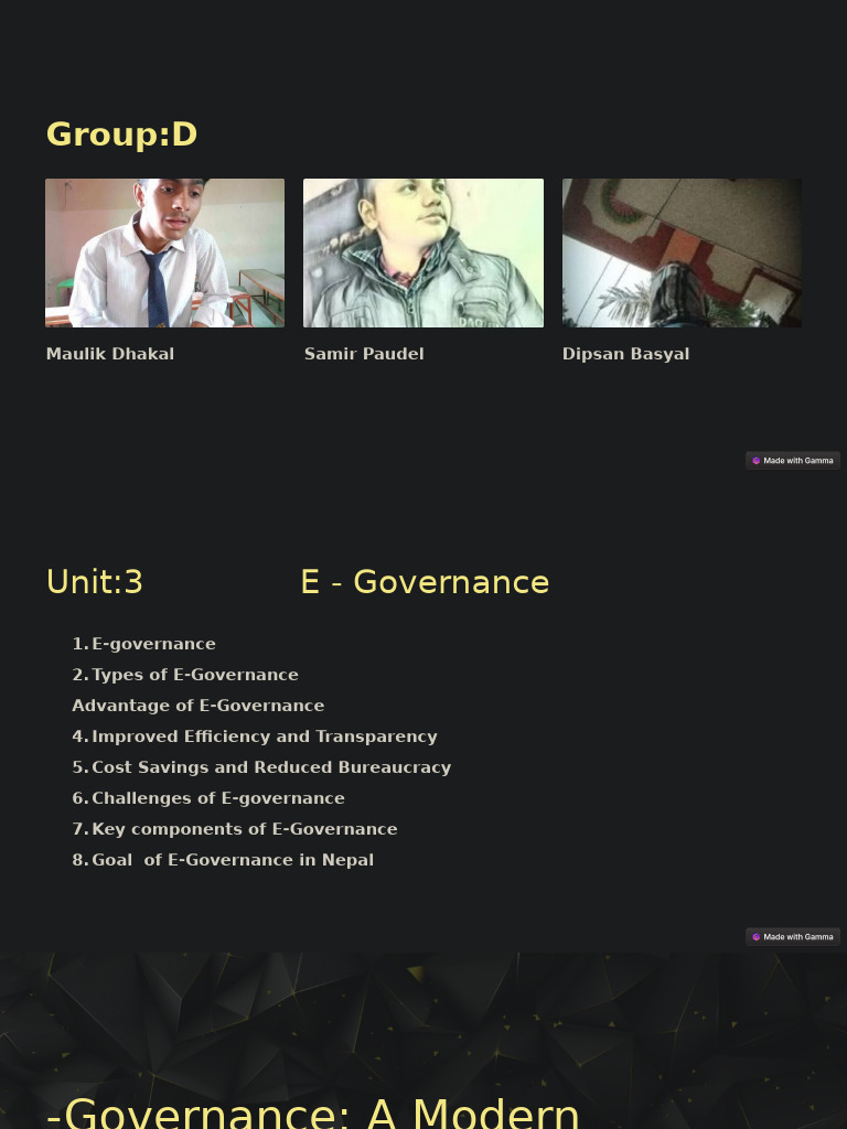 Group D | PDF | Governance | Computing
