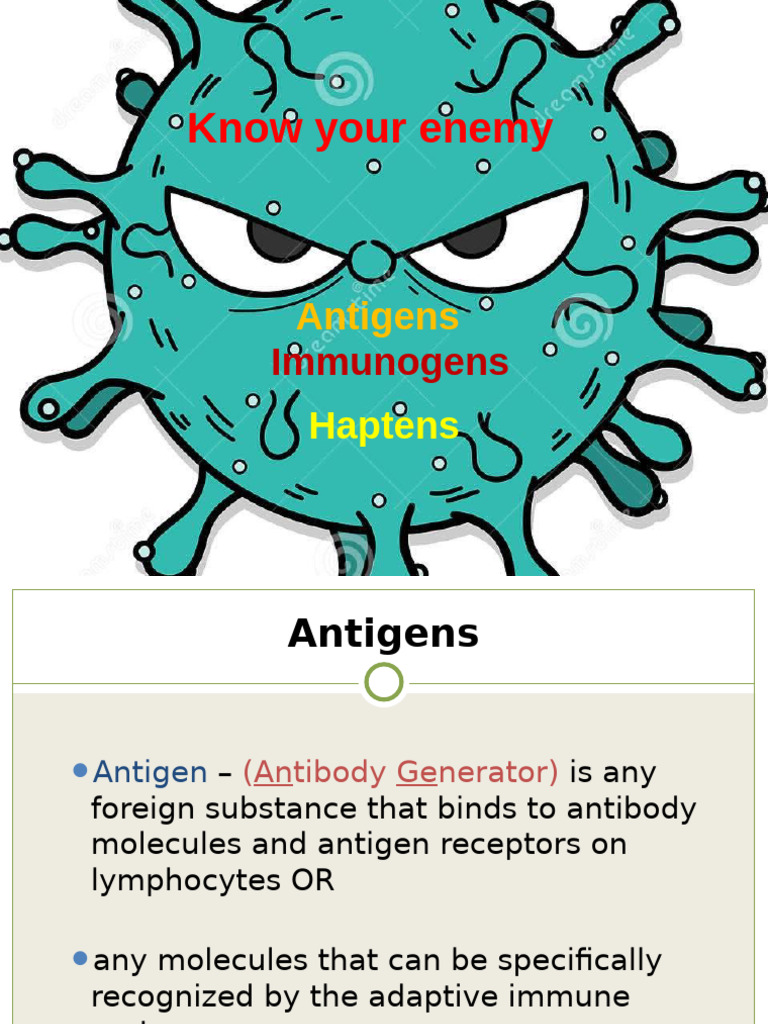 Topic 3 - BMS545 Antigens, Immunogens & Haptens | PDF | Antigen ...