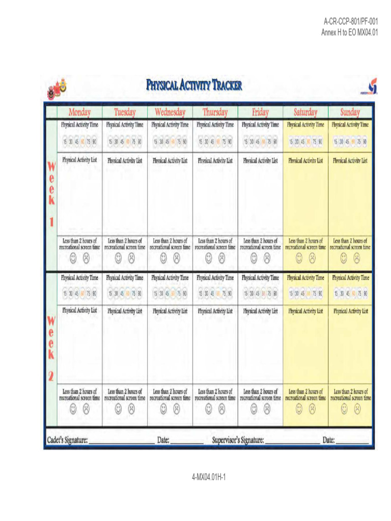 Physical Activity Tracker | PDF