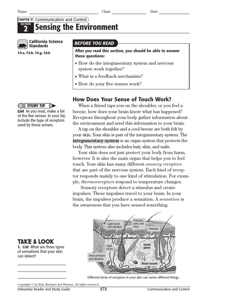Reading-13-Sensing The Environment | PDF | Ear | Senses