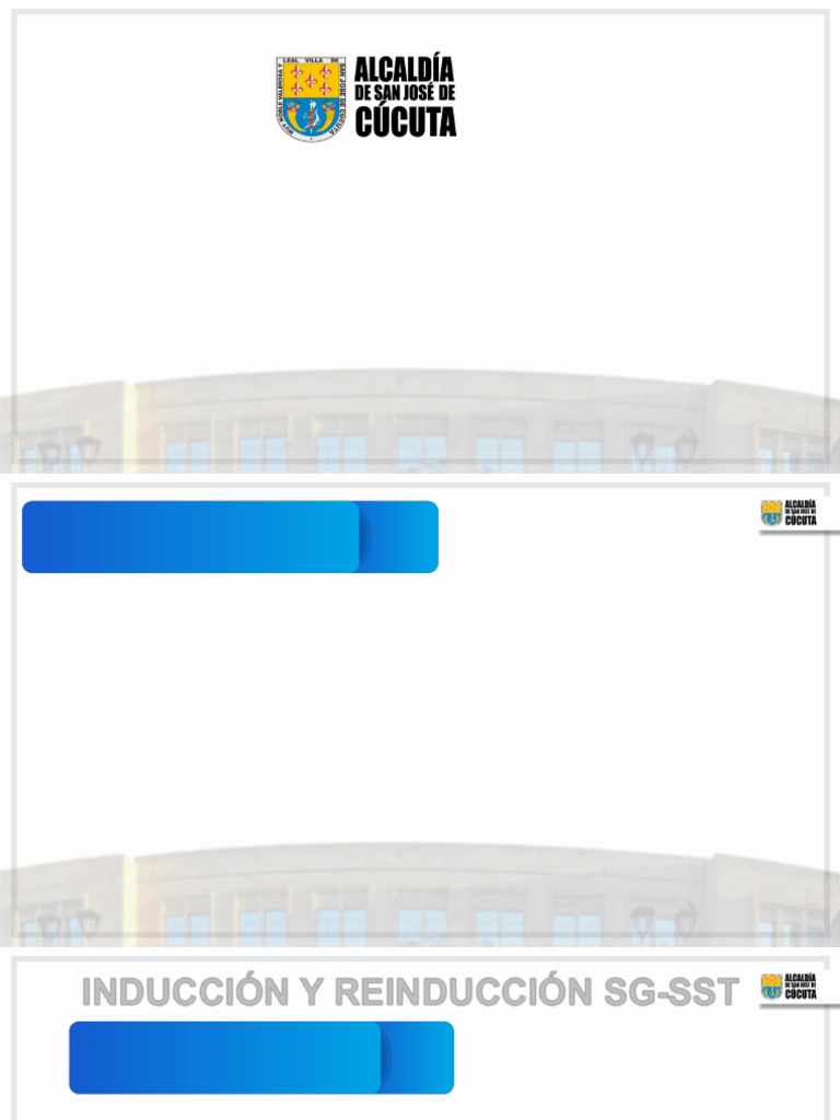 Inducción y Reinducción SG-SST 2024 Ok 1 | PDF | Dolor lumbar