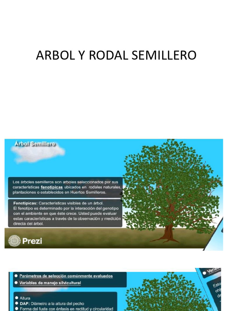 Arbol y Rodales Semilleros | PDF | Huerta | Agricultura