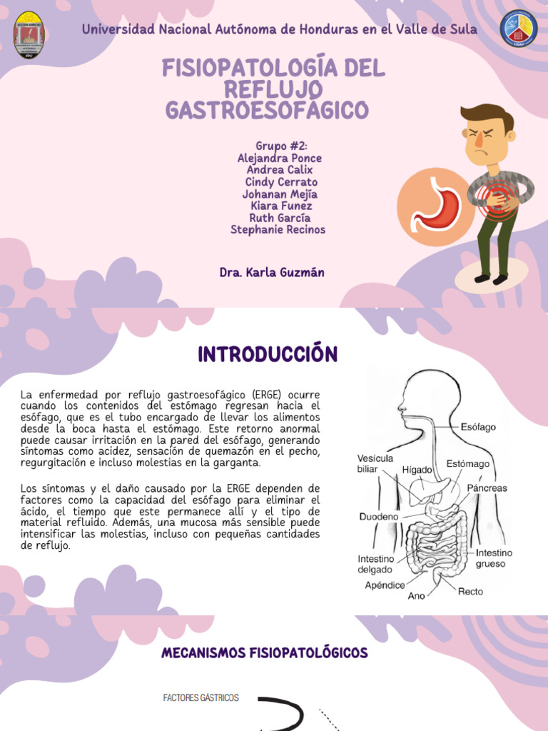 Fisiopatología Del Reflujo Gastroesofágico | PDF | La enfermedad por ...