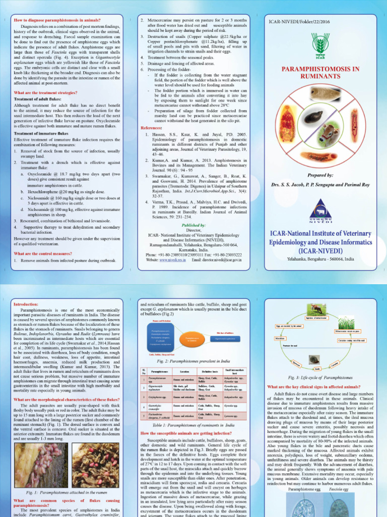 ICAR NIVEDI Paramphistomosis in Ruminants | PDF