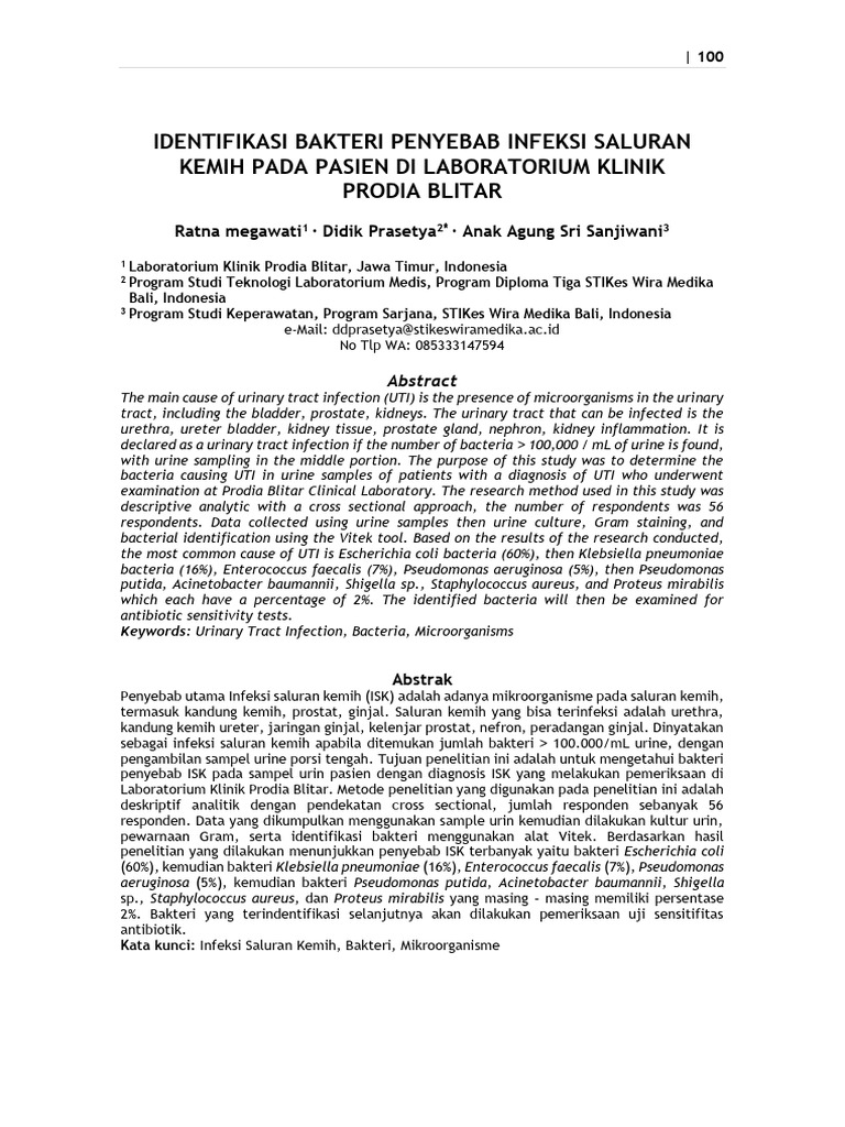 243-File Utama Naskah-1101-1-10-20231208 | PDF | Sains & Matematika