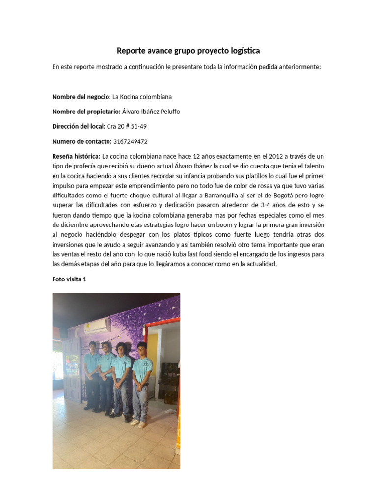 Reporte Avance Grupo Proyecto Logística | PDF