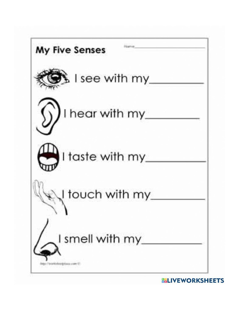 Bi Senses BBM | PDF