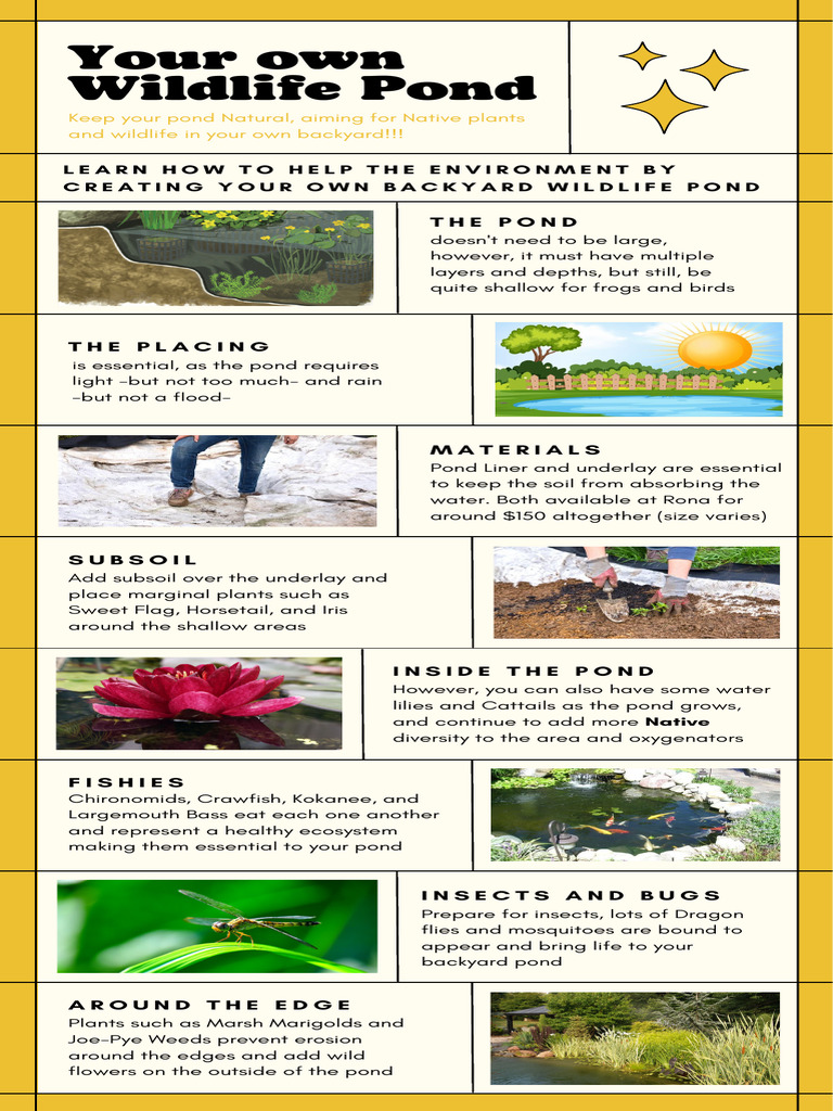 Wildlife Pond | PDF | Home & Garden