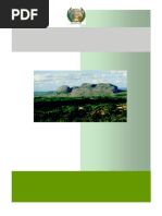 Chimoio: Geografia e História Resumida | PDF | Urbanização | Moçambique