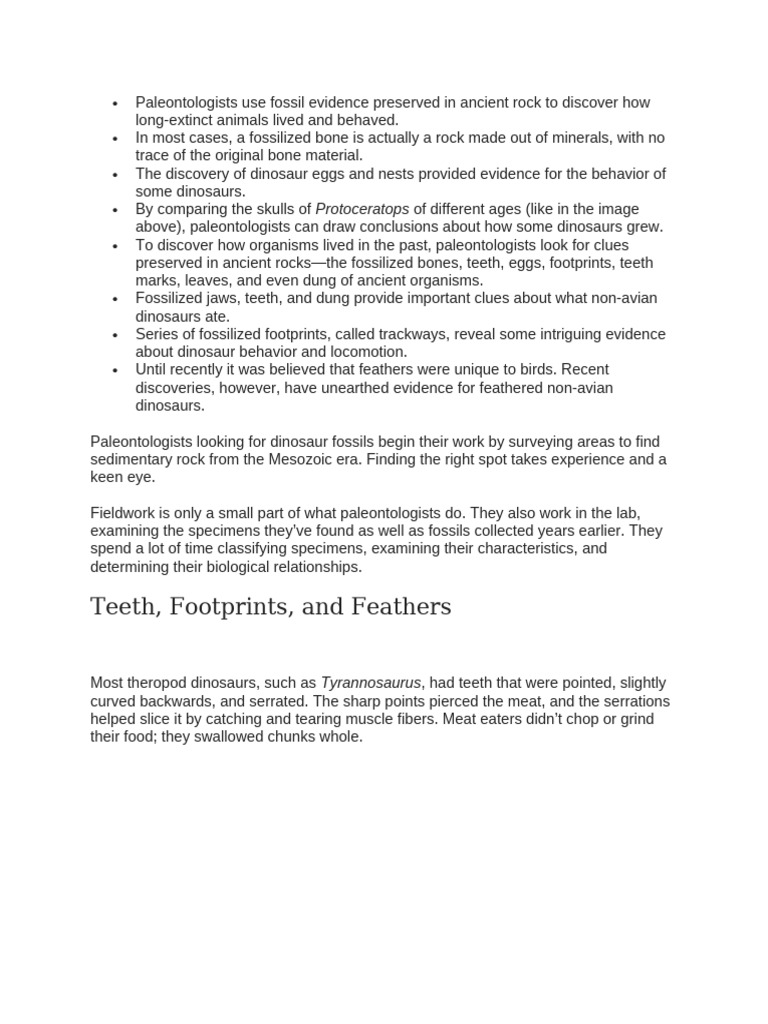 Dynasaur Info | PDF | Social Science