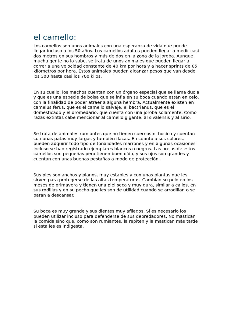 Camellos: Rumiantes y sus características | PDF