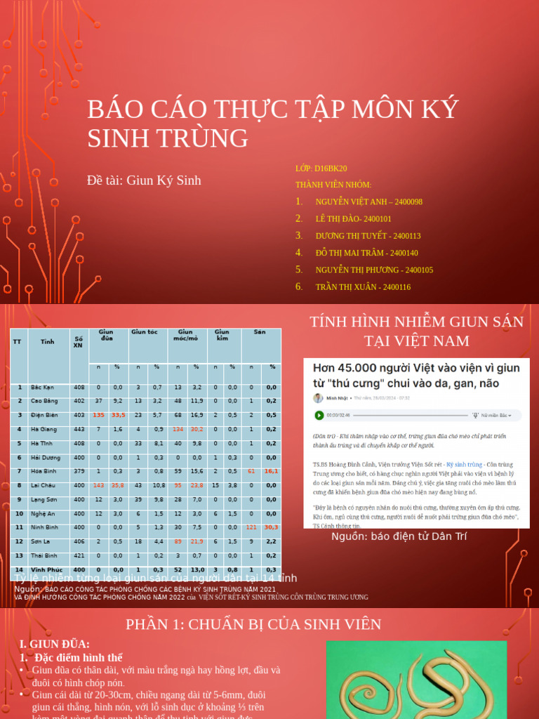 KST - Nhóm 1 - Giun Ký Sinh | PDF